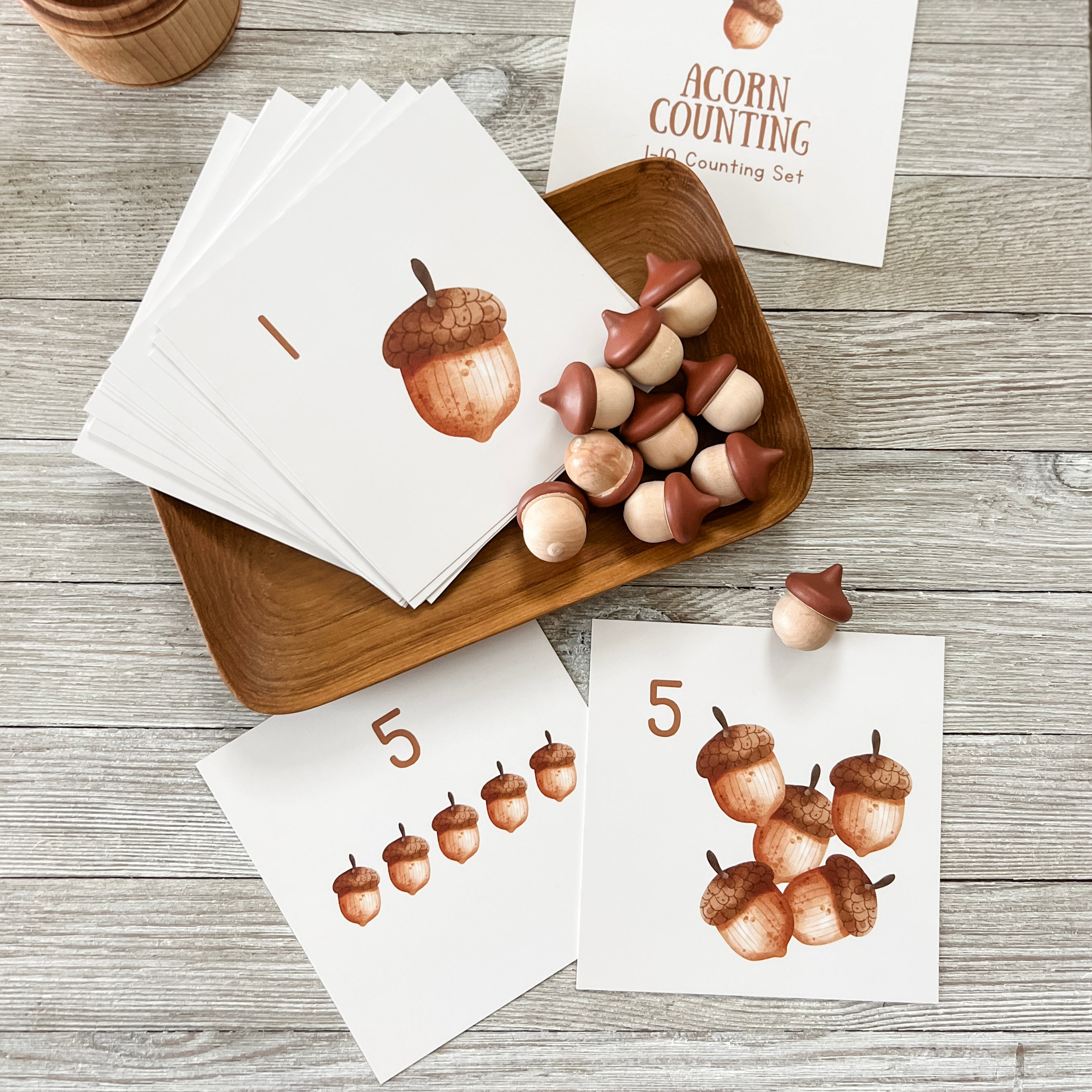 Acorn Counting - 1-10 Counting Cards & Acorns | Chickadees Wooden Toys