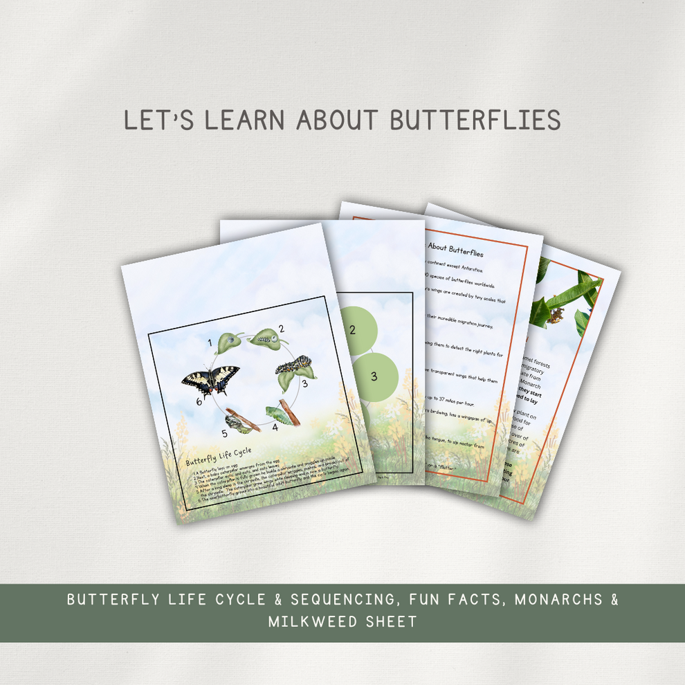 Butterfly Themed Activity Pages - Digital Download