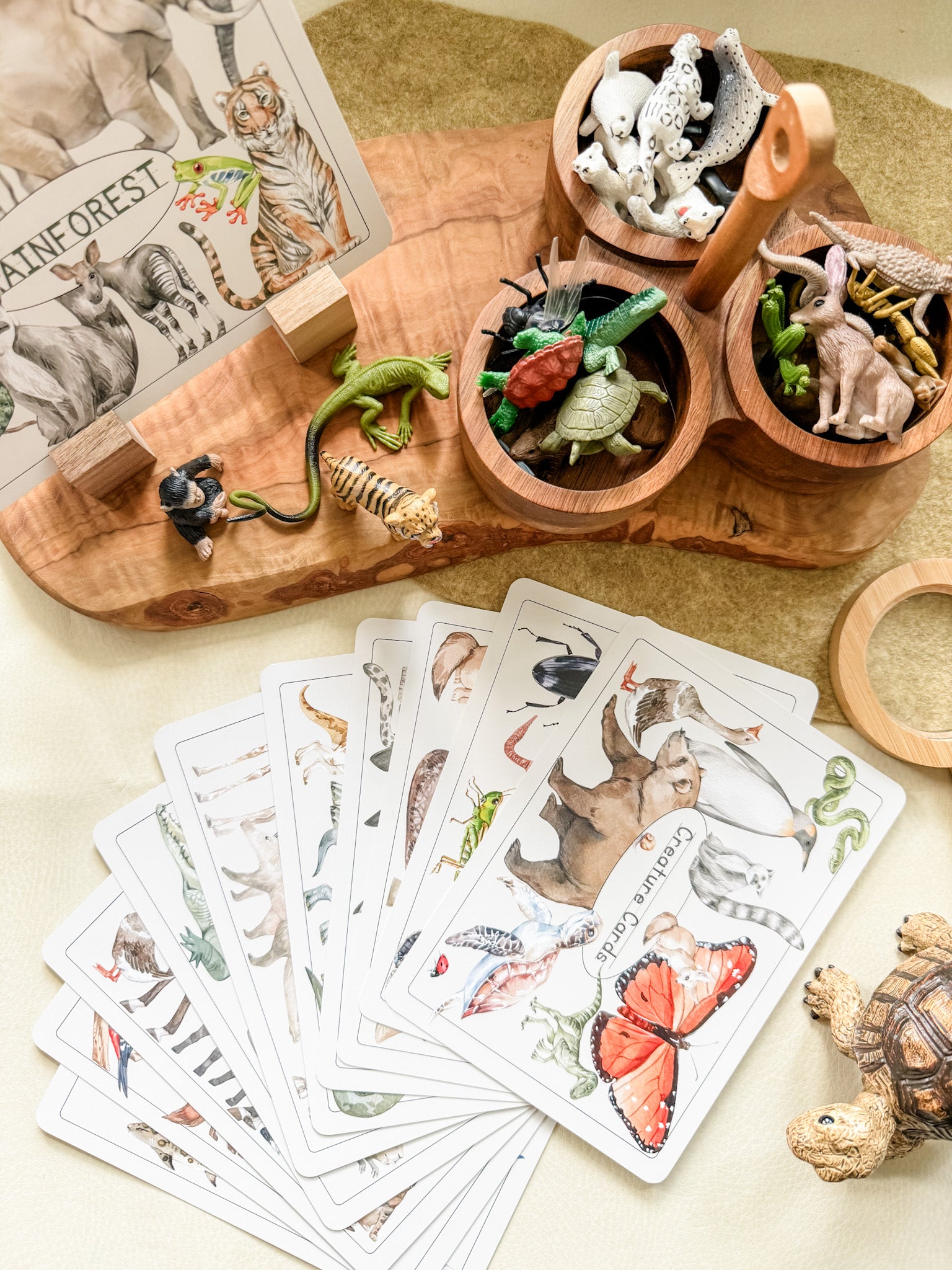 Color Flashcards - Chickadees Wooden Toys