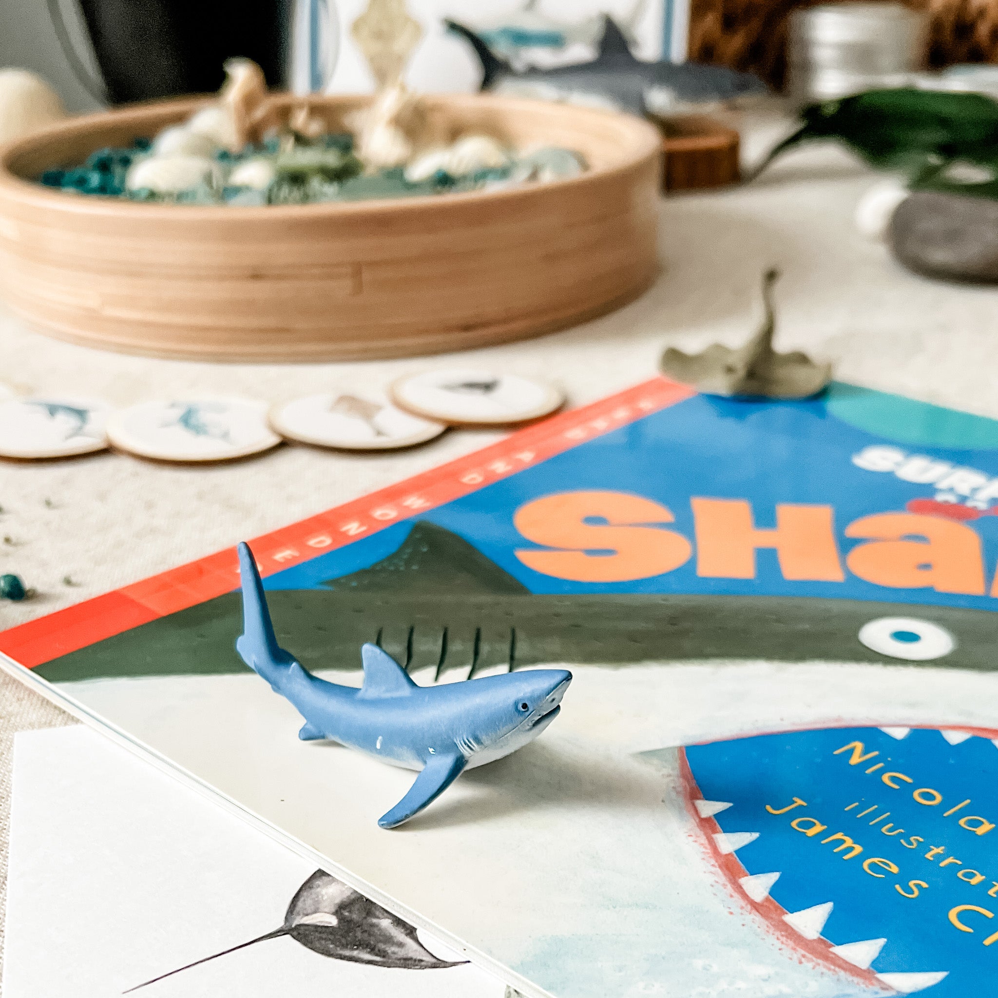 Chickadees Wooden Toys - Playthings for Early Childhood