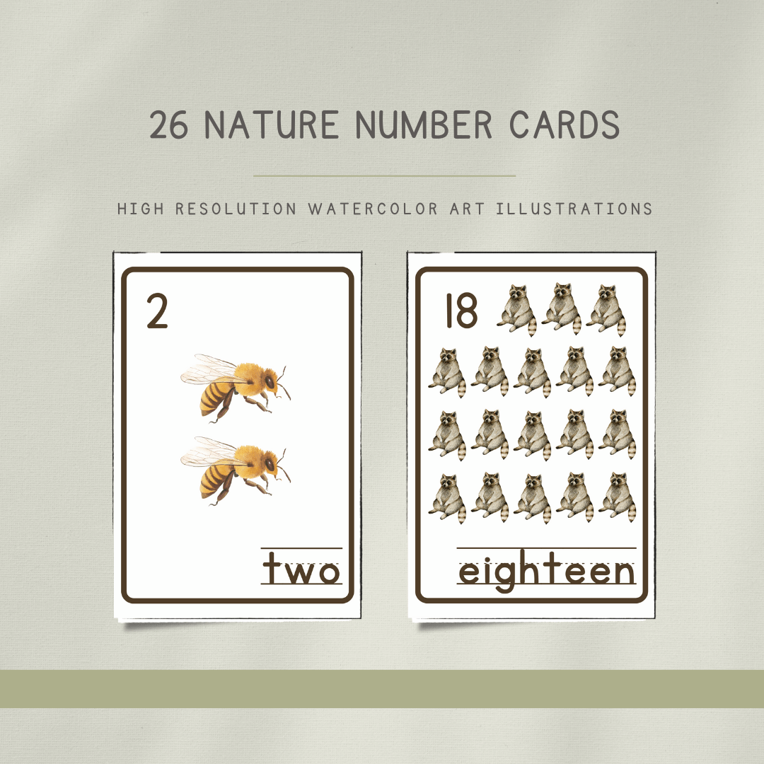 Nature Number Flashcards - DIGITAL DOWNLOAD | Chickadees Wooden Toys ...