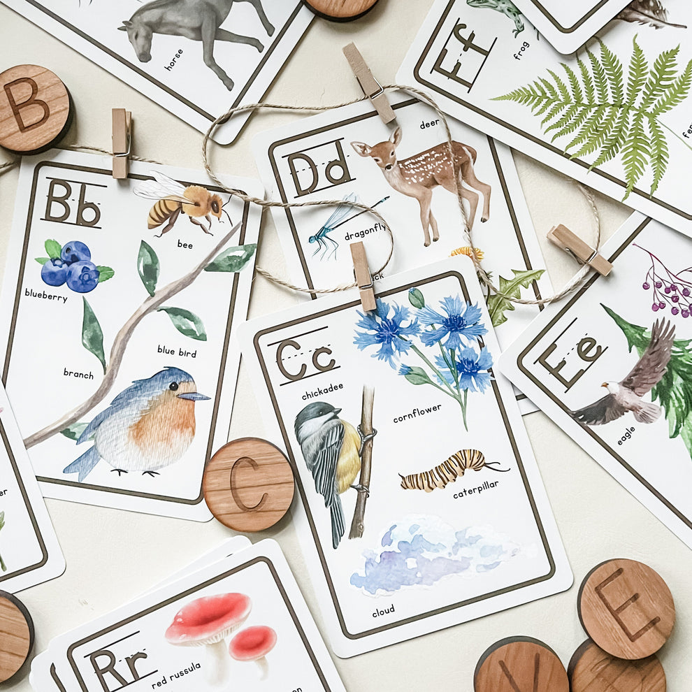 Nature Alphabet Flashcards | Chickadees Wooden Toys