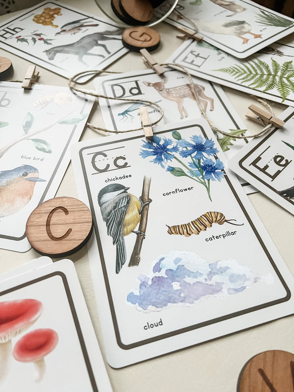Nature Alphabet Flashcards | Chickadees Wooden Toys