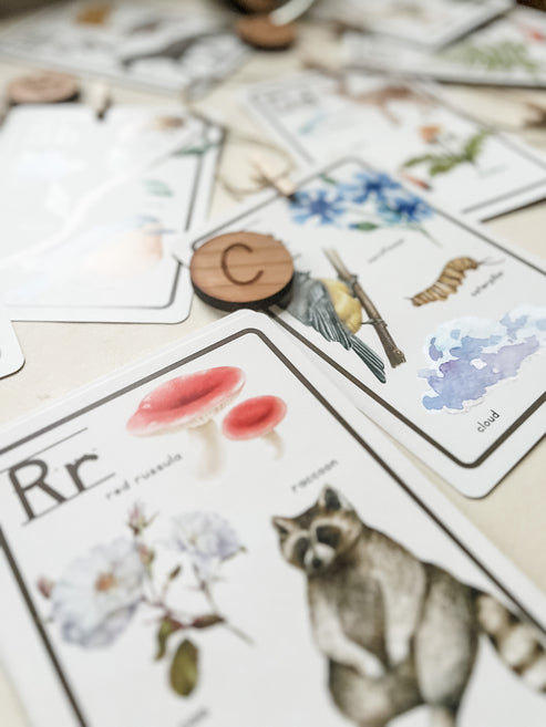Nature Alphabet Flashcards | Chickadees Wooden Toys | Nature Alphabet ...