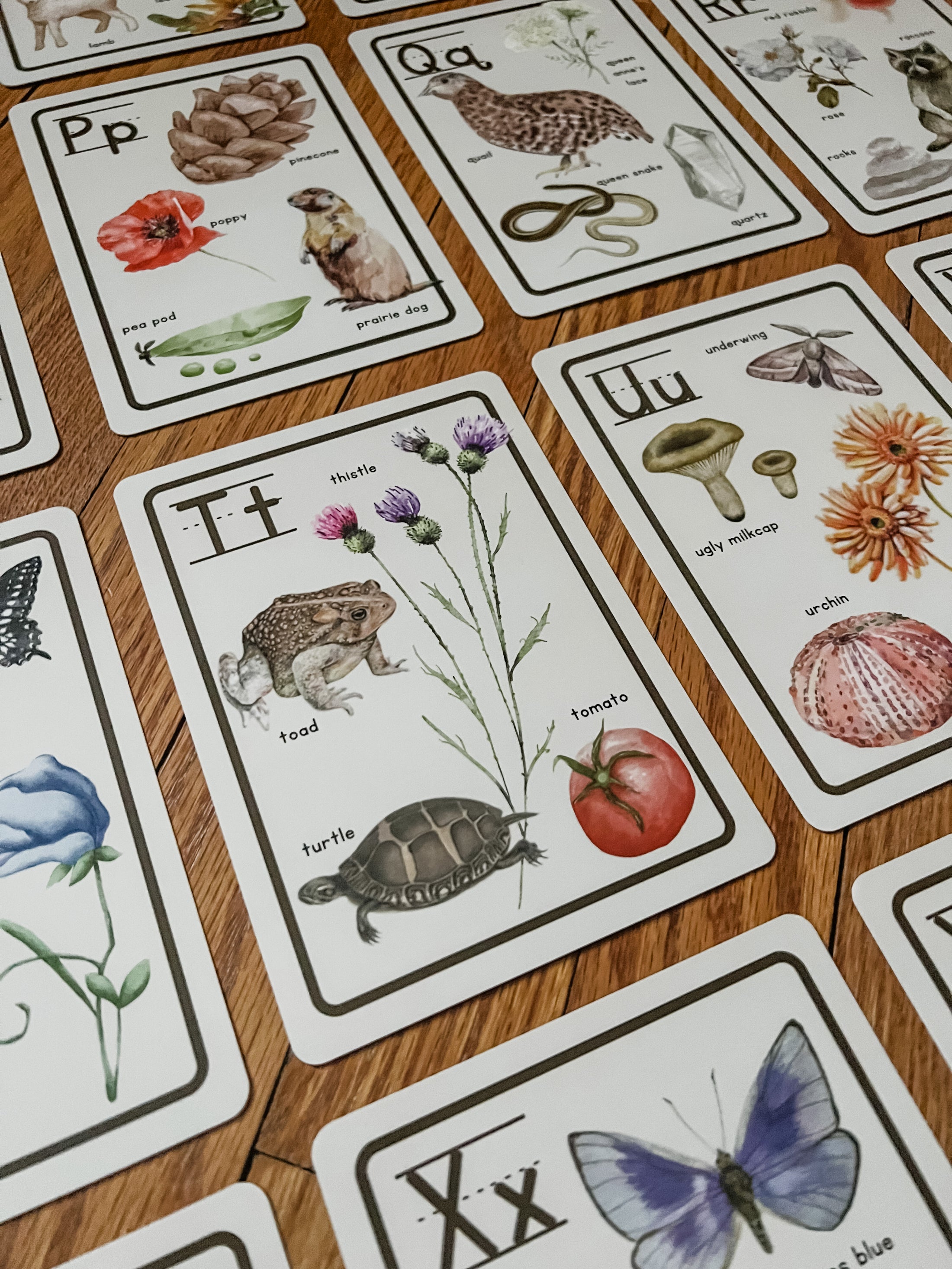 Nature Alphabet Flashcards | Chickadees Wooden Toys